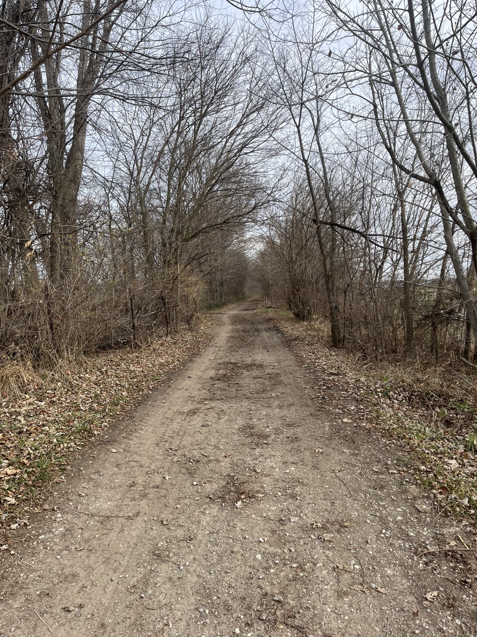 Full Steam Ahead: Trail Corridor Secured for Hawpatch Project ...